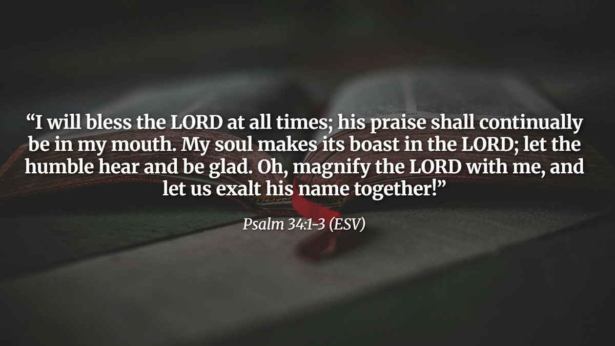 Bible Verses About Worship: 15 Scriptures to Transform Your Daily Faith